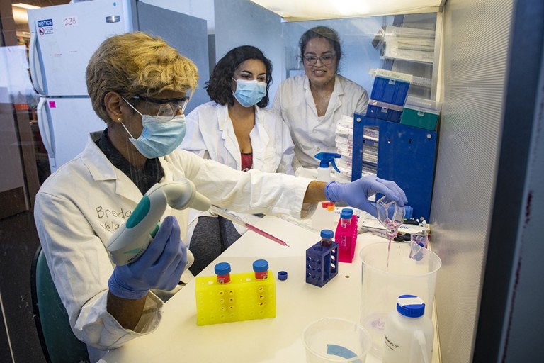 NIH Awards CSUN $19 Million to Support Program to Enhance Diversity in ...