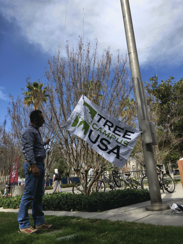 CSUN Branches Out as a Tree Campus | CSUN Today
