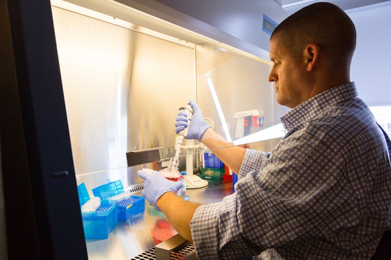 NIH Awards CSUN Professor $1.45M to Continue Research Targeting Breast Cancer Metastasis | CSUN ...