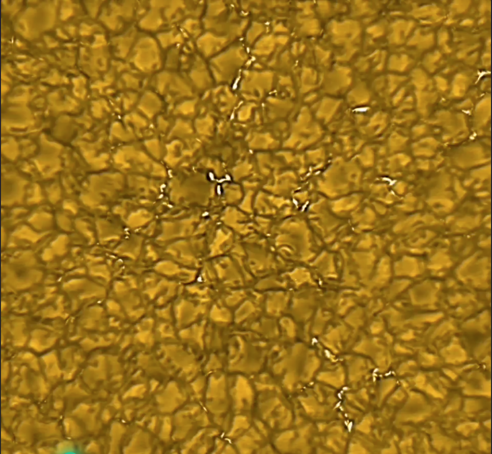 CSUN Prof’s Research Efforts May Solve Solar Mystery in the Sun’s ...