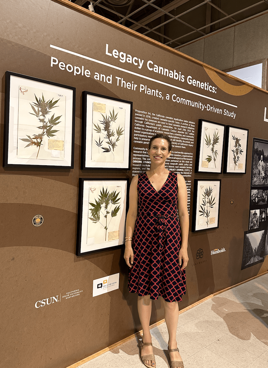 CSUN Professor Co-Principal Investigator on Cannabis Research Grant ...