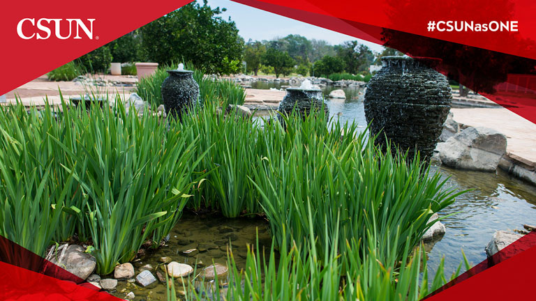 Zoom Backgrounds | California State University, Northridge